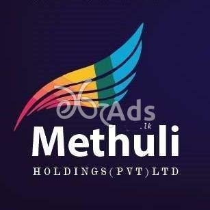 Cashier - Methuli Holdings (Pvt) Ltd - Wattala
