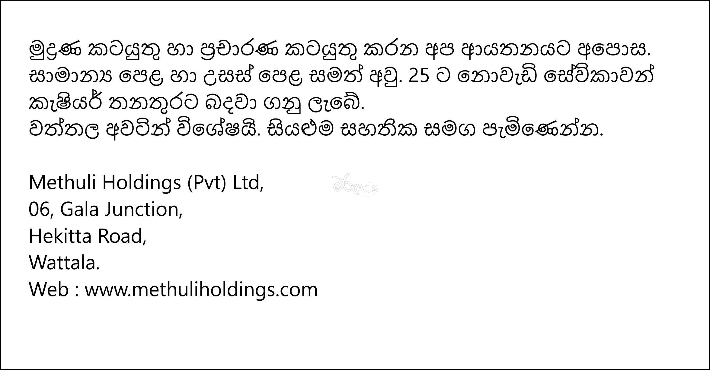 Cashier - Methuli Holdings (Pvt) Ltd - Wattala