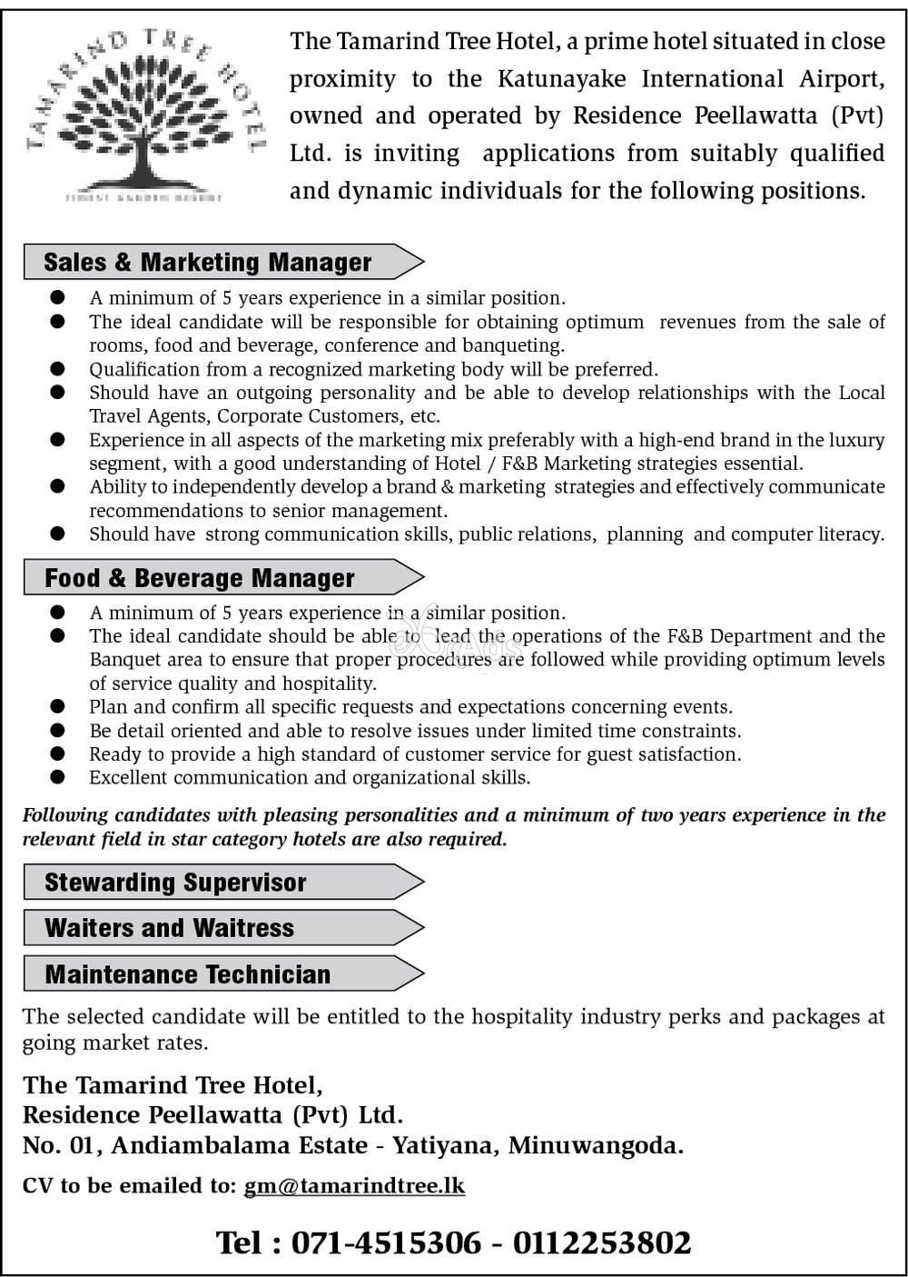 Sales & Marketing manager, Food & Beverage Manager, Stewarding ...