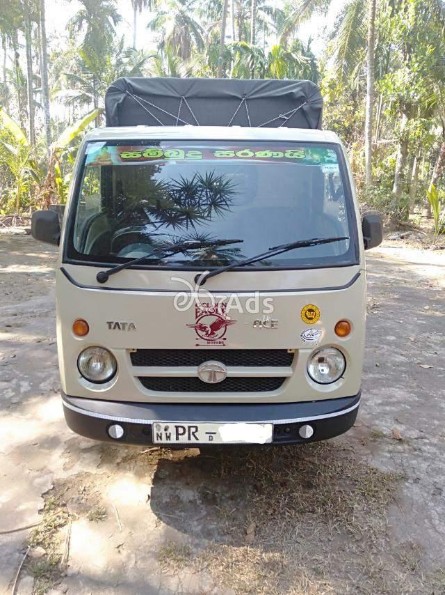 Tata Dimo Batta in Divulapitiya