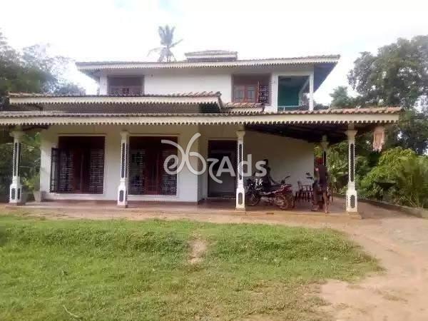 House for Rent in Dambadeniya