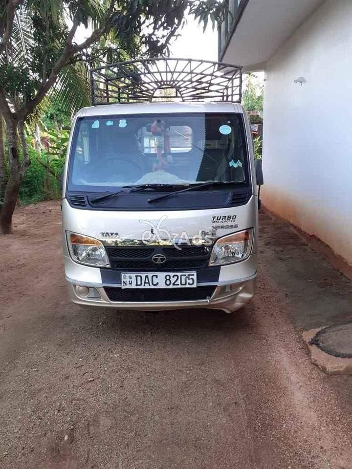 Tata Dimo Batta for Sale