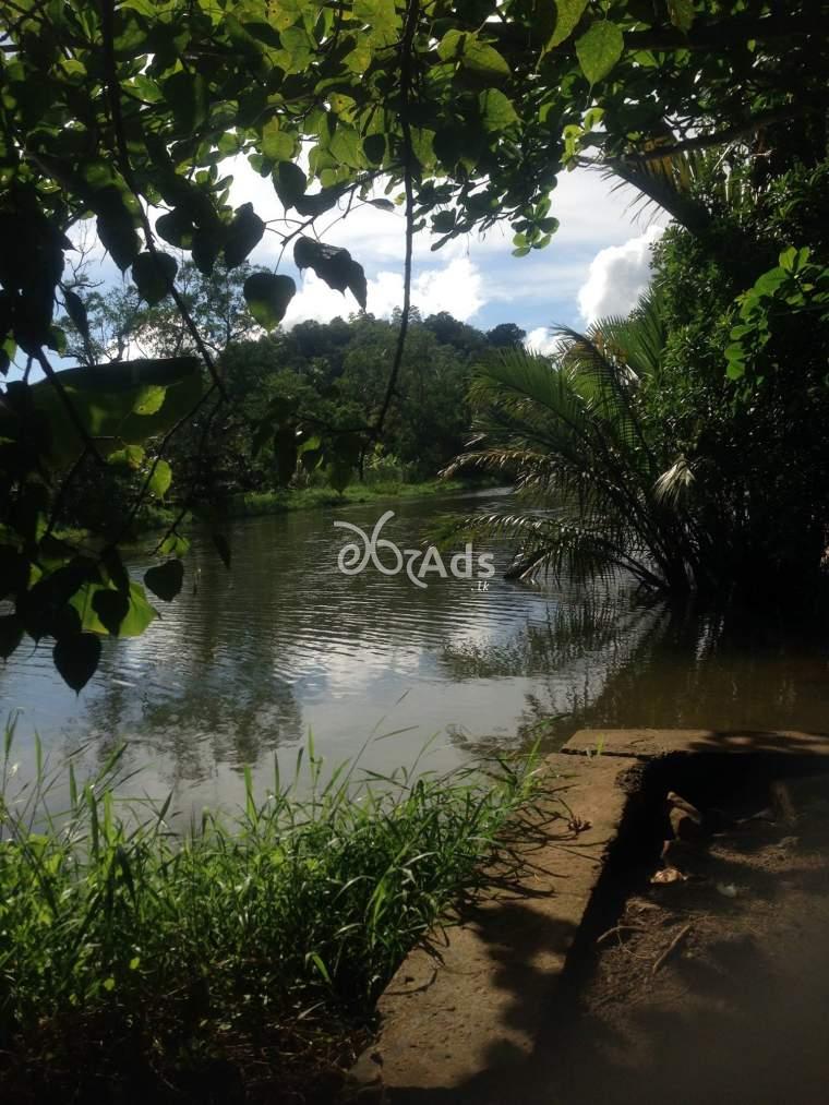 Beautiful Land next to Nilwala River in Matara