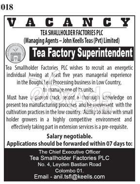 Tea Factory Superintendent Job Vacancy at Tea Smallholder Factories PLC ...